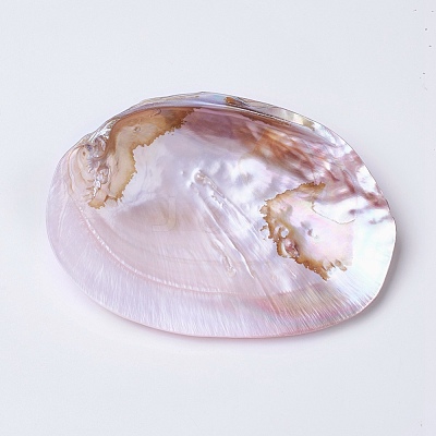 Wholesale Natural Freshwater Pearl Shell Decoration ...